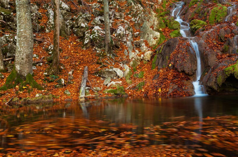 Beautiful Autumn Foliage and Mountain Stream in the Forest Stock Image ...