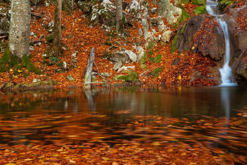 Beautiful Autumn Foliage and Mountain Stream in the Forest Stock Image ...