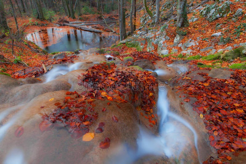 Beautiful Autumn Foliage and Mountain Stream in the Forest Stock Image ...