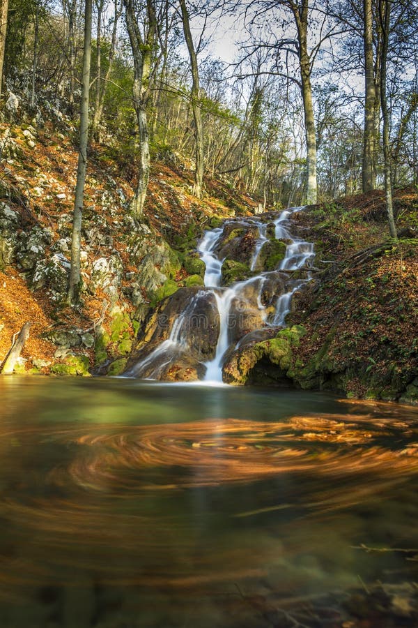 Beautiful Autumn Foliage and Mountain Stream in the Forest Stock Image ...