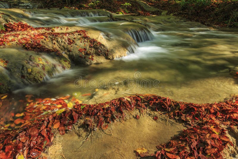 Beautiful Autumn Foliage and Mountain Stream in the Forest Stock Photo ...