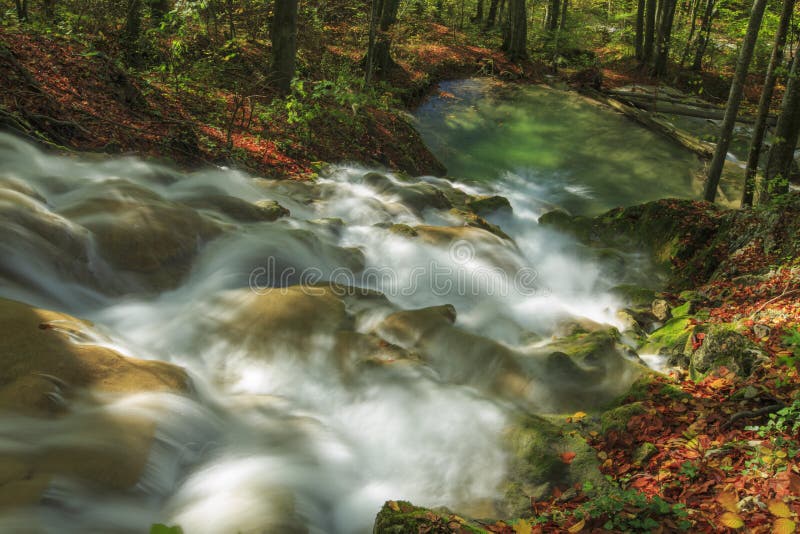 Beautiful Autumn Foliage and Mountain Stream in the Forest Stock Image ...