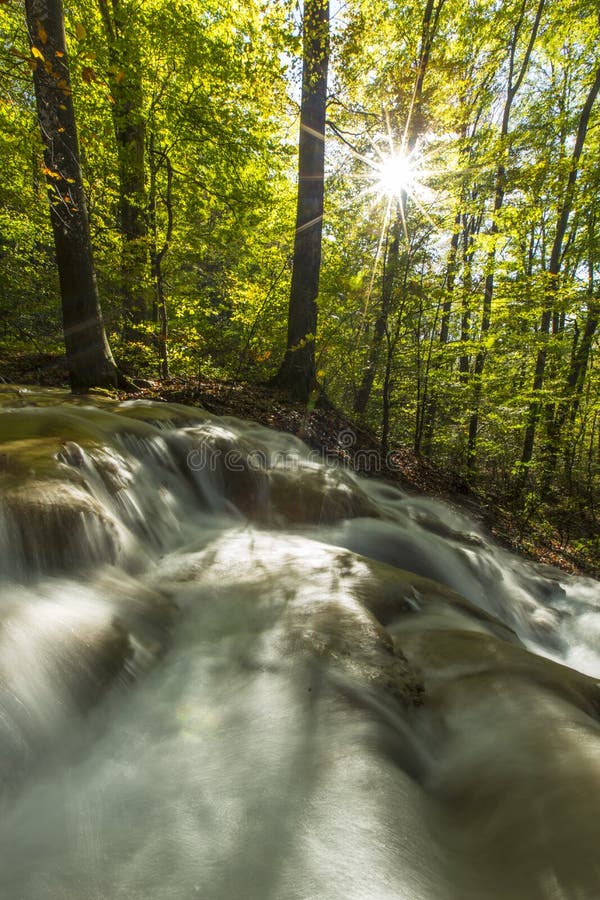 Beautiful Autumn Foliage and Mountain Stream in the Forest Stock Photo ...