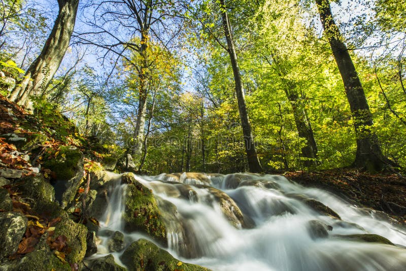 Beautiful Autumn Foliage and Mountain Stream in the Forest Stock Photo ...