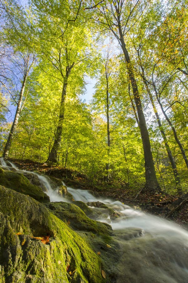 Beautiful Autumn Foliage and Mountain Stream in the Forest Stock Photo ...