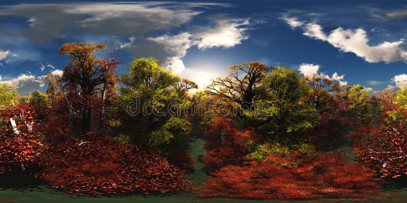 Beautiful Autumn Forest Against the Backdrop of the Setting Sun among ...