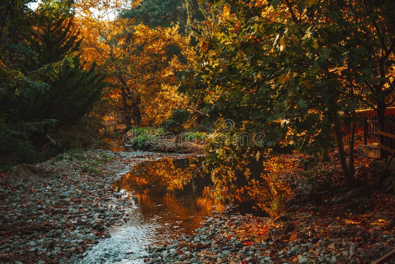 Beautiful Autumn and Its Reflection in the Stream Stock Image - Image ...