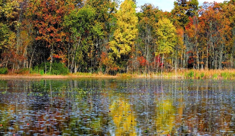 Beautiful Autumn Lake stock image. Image of autumn, lake - 3596673