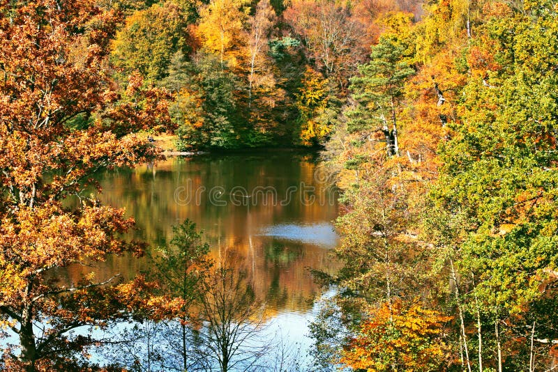 Park Bench by Lake in Autumn Stock Photo - Image of country, forest ...