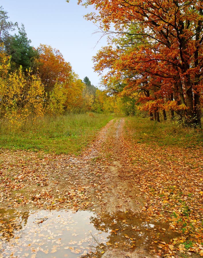 A Beautiful Autumn Landscape. Stock Photo - Image of aspen, blue: 102842980