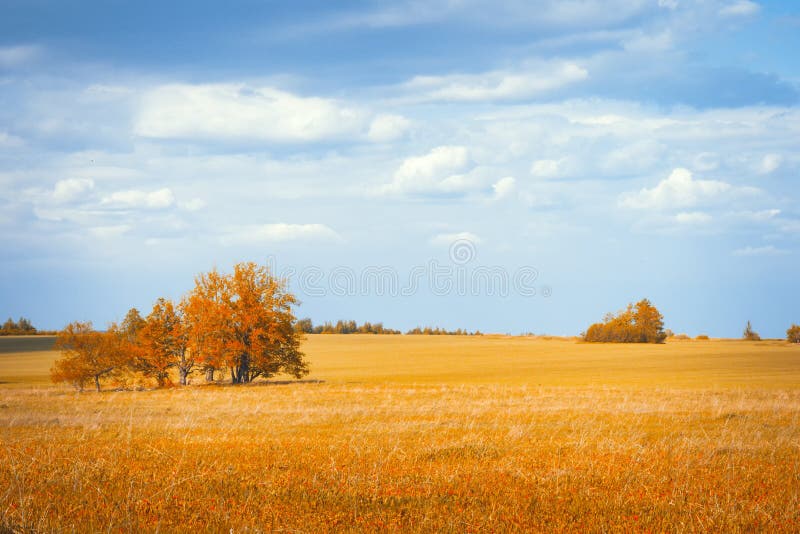 Beautiful Autumn Landscape at the Morning Park Stock Photo - Image of ...