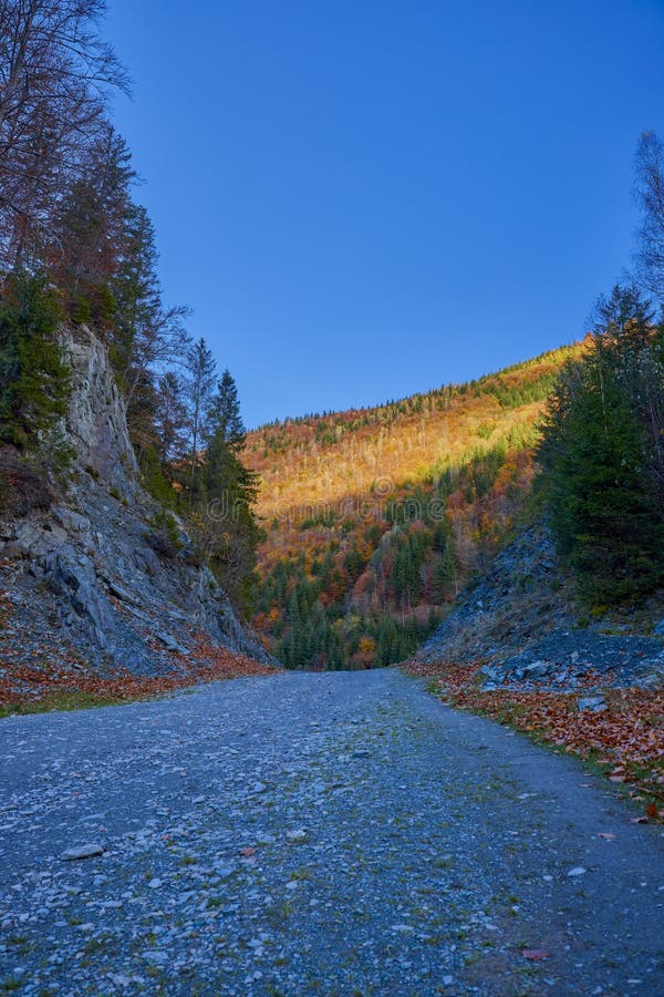 Autumn Landscape with Mountain Forest at the Beginning of November ...