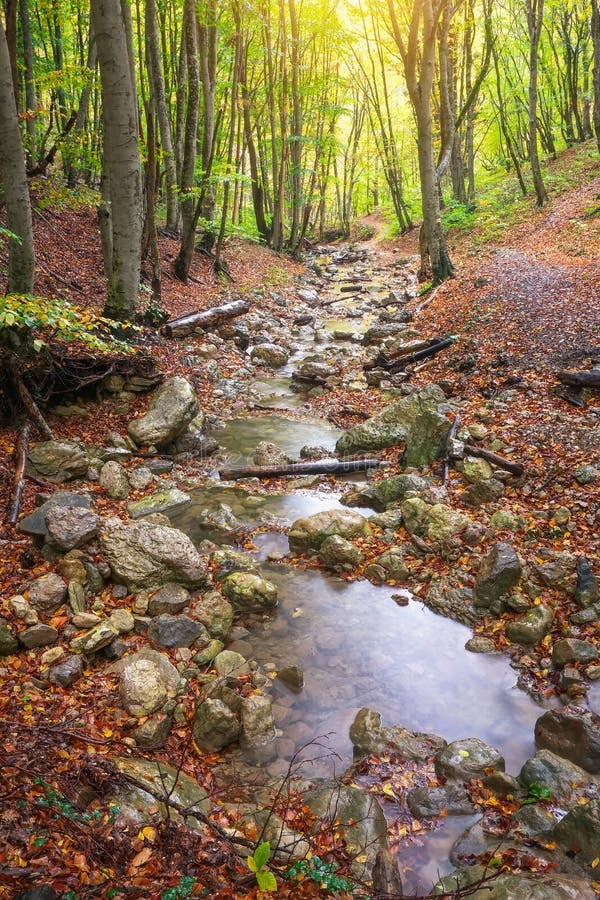 Beautiful Autumn Landscape with Mountain River Stock Photo - Image of ...