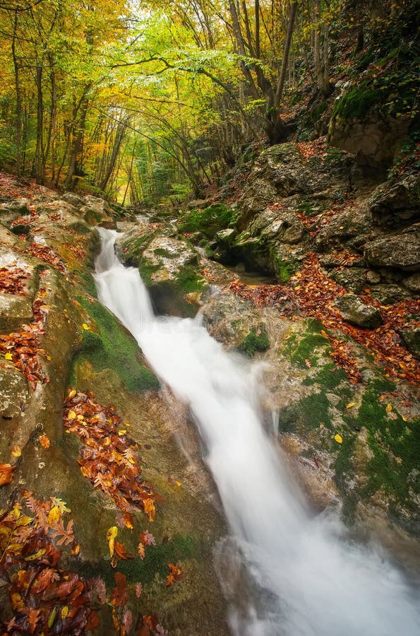 Beautiful Autumn Landscape with Mountain River and Colorful Trees Stock ...
