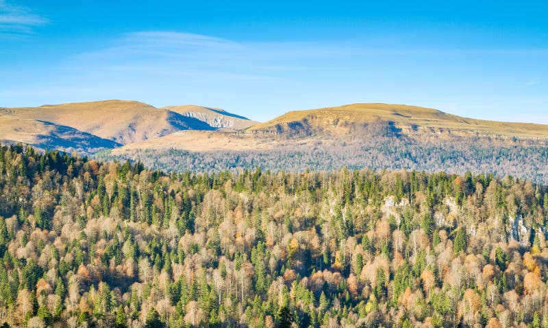 Forest Meadows stock image. Image of meadows, view, autumn - 143141619