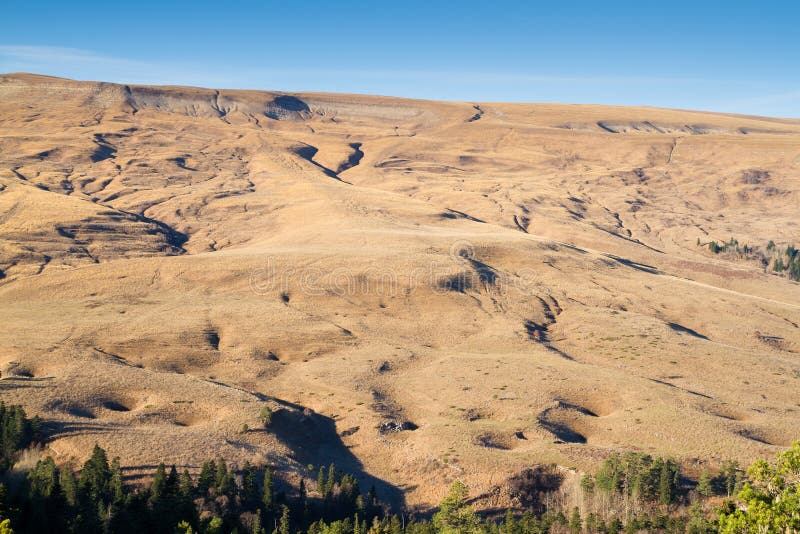 Forest Meadows stock image. Image of meadows, view, autumn - 143141619