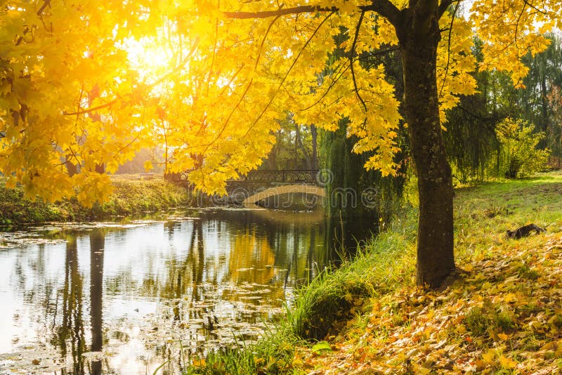 Beautiful Autumn Landscape with River, Bridge and Trees. Stock Photo ...