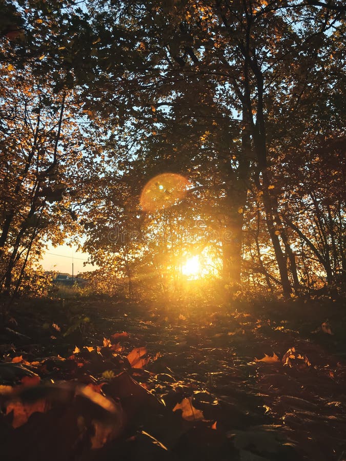 Beautiful Autumn Landscape with the Setting Sun Stock Image - Image of ...