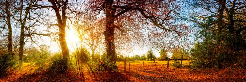 Autumn landscape stock photo. Image of trees, landscape - 109734014