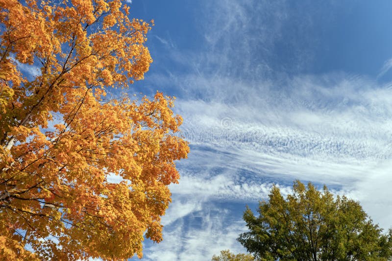 Beautiful Autumn Landscape in Tennessee Mountain Forest Stock Image ...