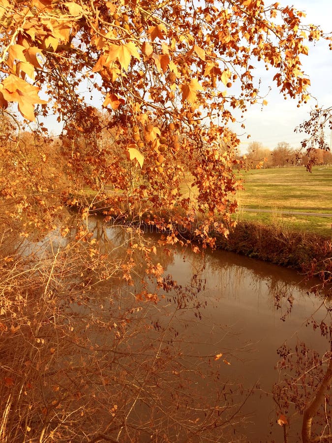 Beautiful Autumn Landscape with Tree and River Stock Photo - Image of ...