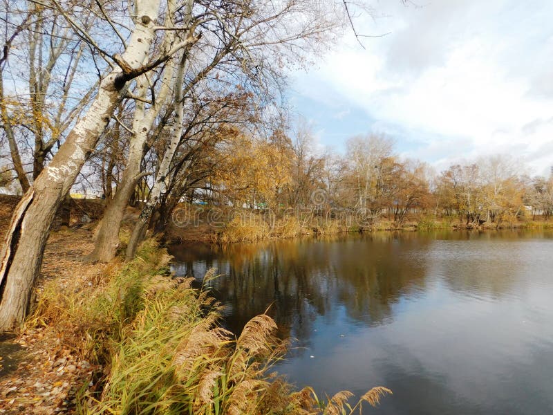 Beautiful Autumn Landscape Trees Growing by the Lake Stock Photo ...