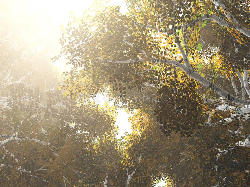 Beautiful Autumn Landscape. Autumn Trees Over the Water Stock Image ...