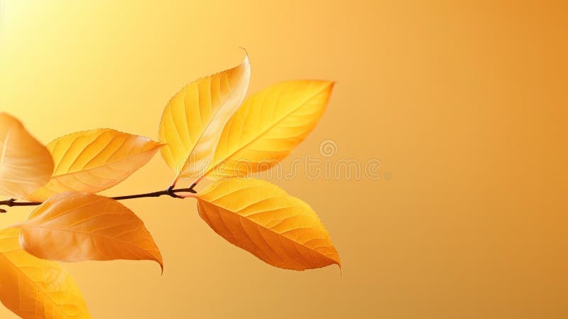 Beautiful Autumn Leaves. Foliage on Yellow Background Stock Image ...