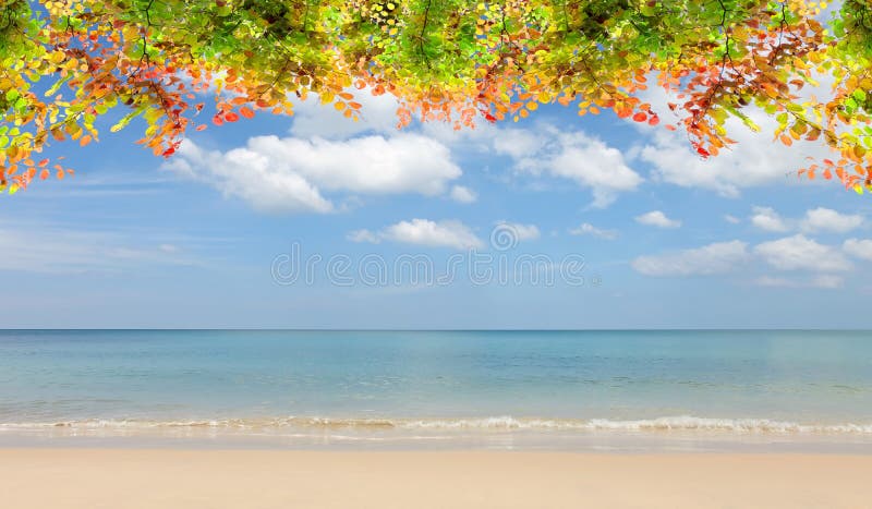 Beautiful Autumn Leaves Frame on Beach and Sky Scenery Background ...