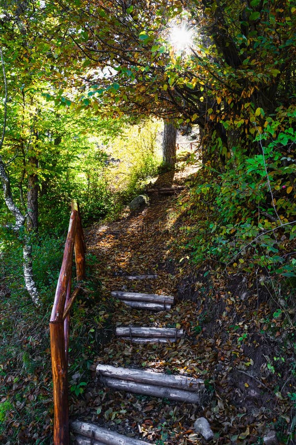 Beautiful Autumn Natural Landscape. a Path through a Sunny Autumn ...