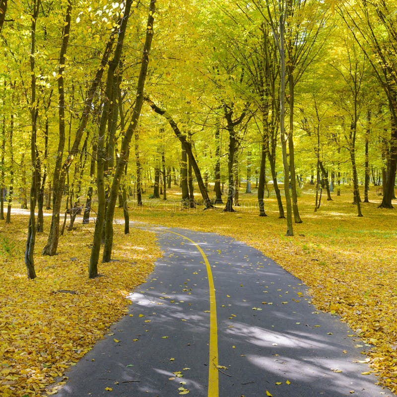 Bright Beautiful Ocean with Waves Stock Image - Image of holiday ...
