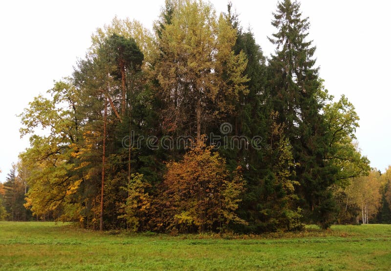 Beautiful Autumn Park. Autumn Trees and Leaves. Autumn Landscape.Park ...