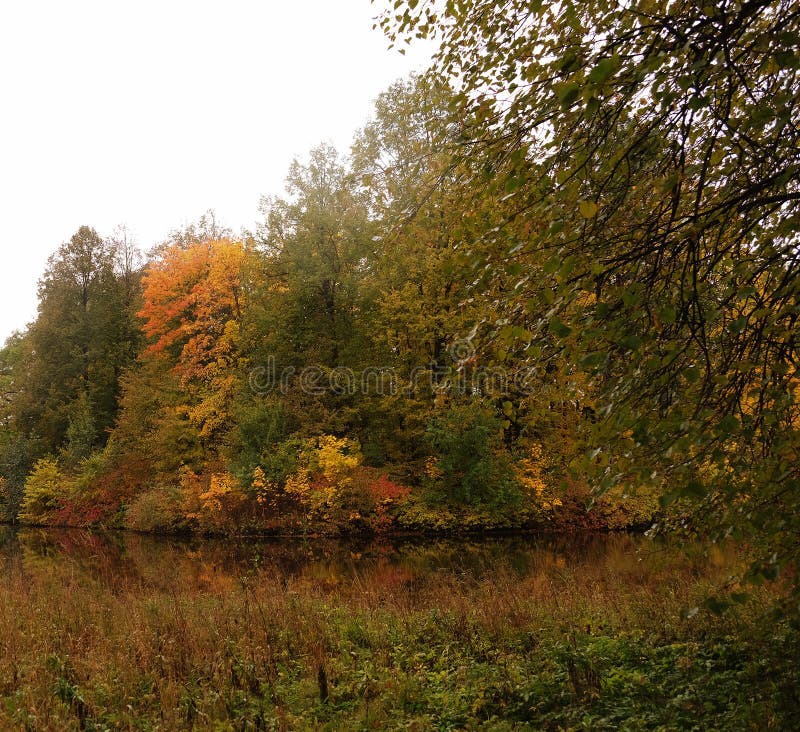 Beautiful Autumn Park. Autumn Trees and Leaves. Autumn Landscape Stock ...