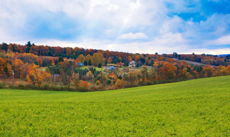 Beautiful Autumn in Pocono Mountains PA. Stock Image - Image of grass ...