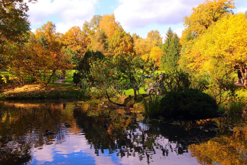 Beautiful Autumn Pond with Ducks and Trees Reflected in Water Stock ...
