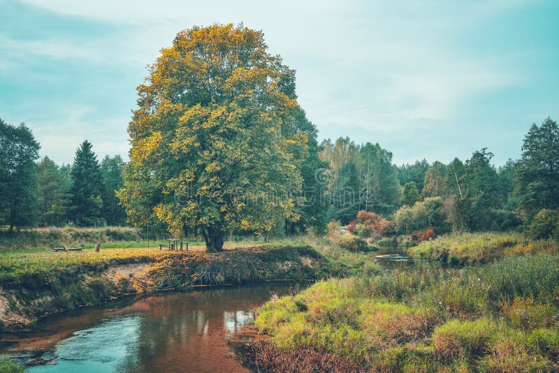 A Beautiful Autumn River Flows in a Forest Valley Stock Image - Image ...