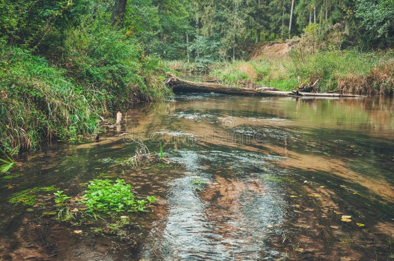 A Beautiful Autumn River Flows in a Forest Valley Stock Image - Image ...