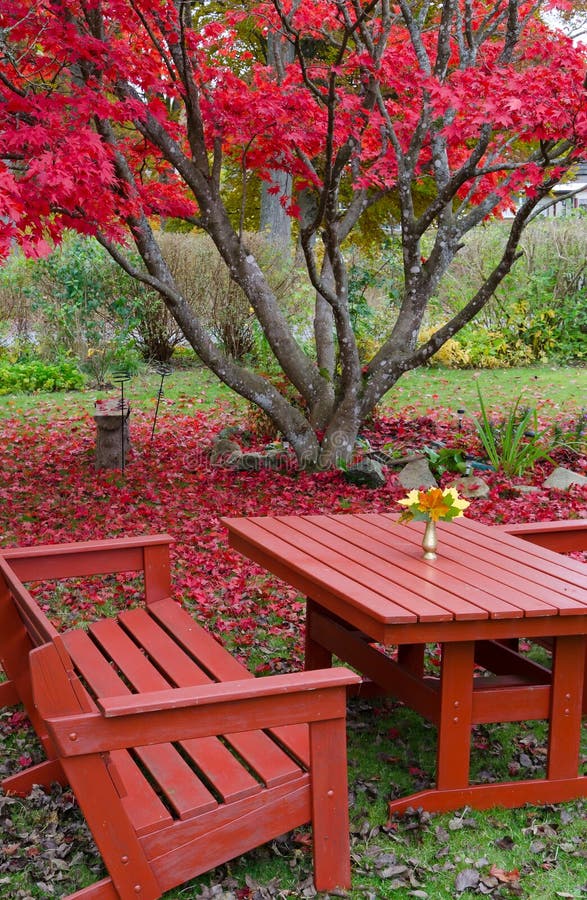 Backyard Autumn stock image. Image of colorful, gala, backyard - 6720079