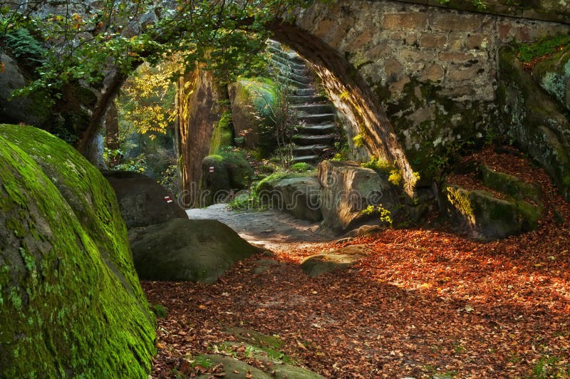 Beautiful Autumn Scene stock image. Image of green, falling - 23355045