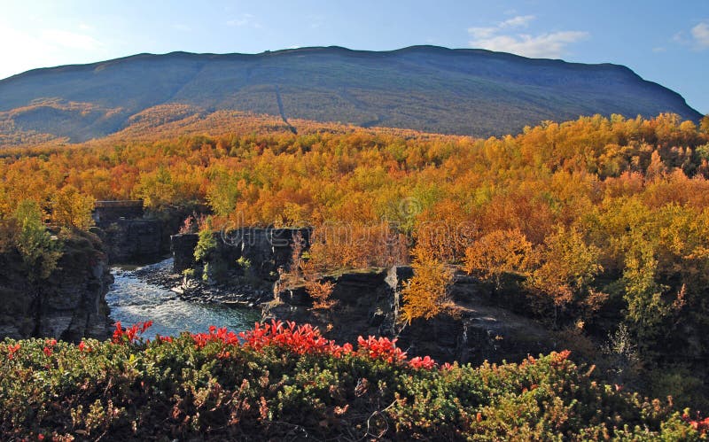 Beautiful autumn scene stock image. Image of outdoors - 6497163