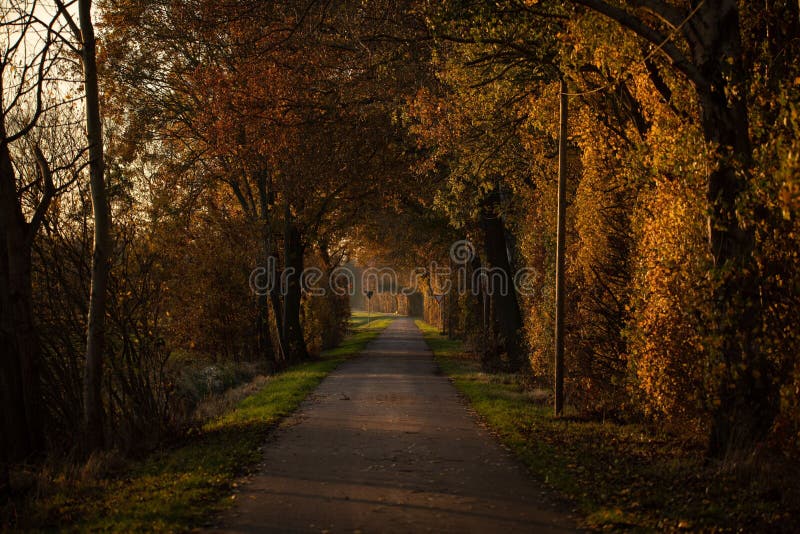 Beautiful Autumn Scene of a Winding Path through a Vibrant Park Stock ...