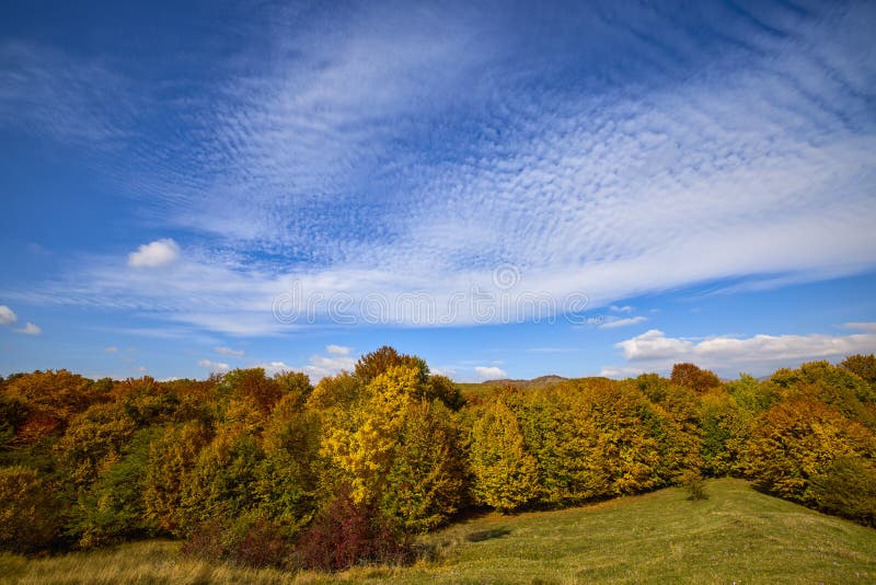 Beautiful Autumn Scenery on a Sunny Day Stock Photo - Image of color ...