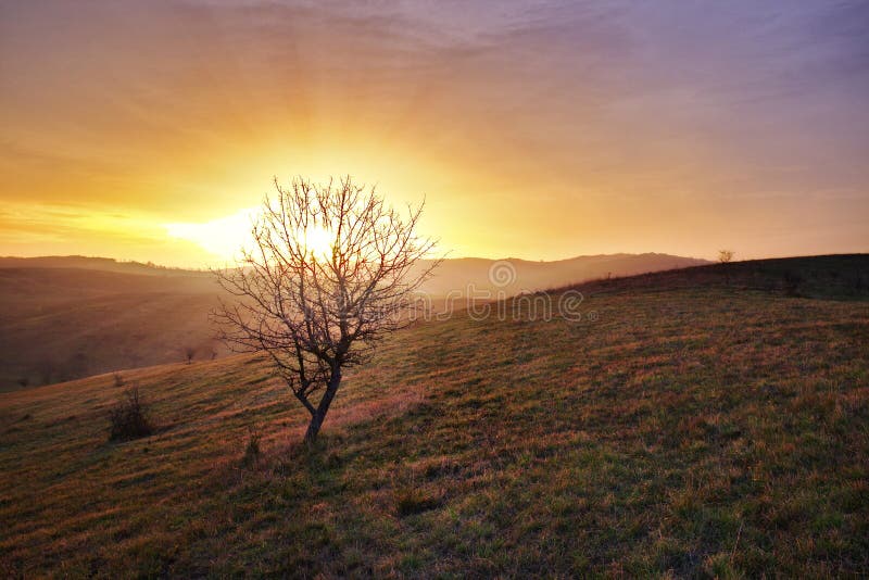 Beautiful Autumn Sunset Landscape among the Hills with Bare Tree Stock ...