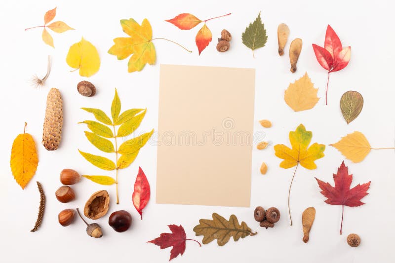 A Beautiful Autumn Themed Arrangement on a White Background. an Array ...