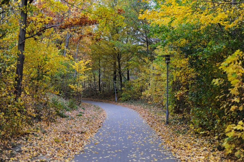 Autumn Trees and Bushes in the Park. a Bright Park Place Stock Image ...