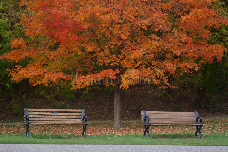 Beautiful autumn view stock image. Image of benches - 103624581