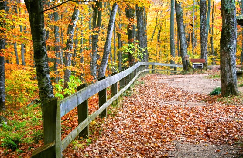 Beautiful Autumn Walkway stock image. Image of little - 3005363