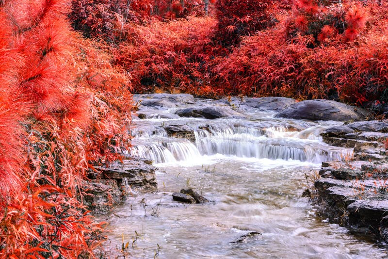 Beautiful Autumn Waterfall in Deep Forest Stock Photo - Image of fall ...