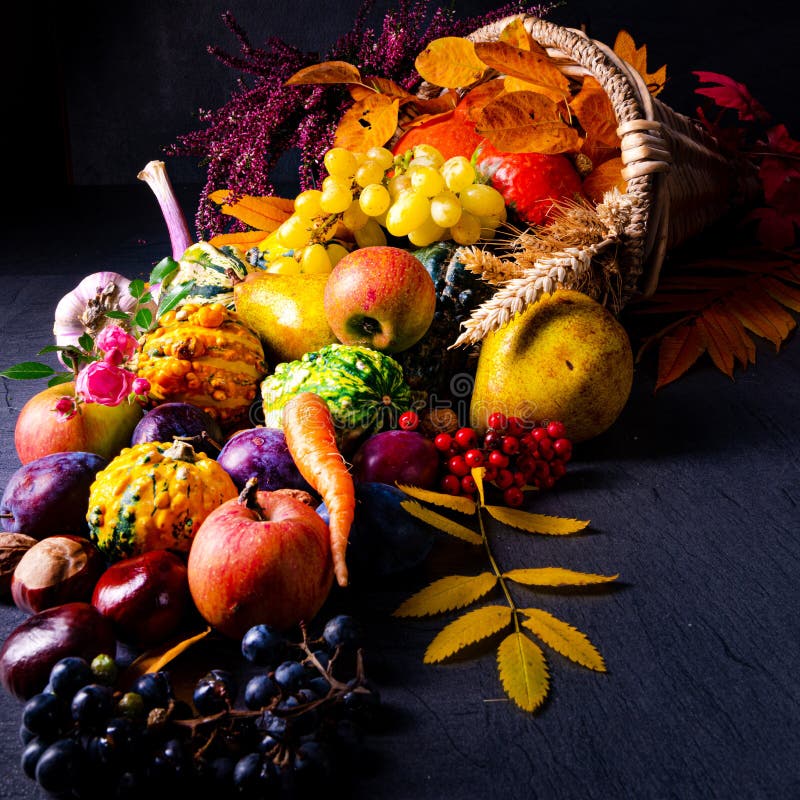 Beautiful and Autumnal Cornucopia Stock Image - Image of design, horn ...