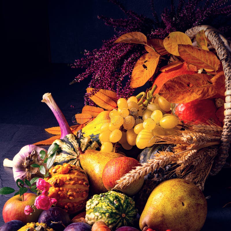 Beautiful and Autumnal Cornucopia Stock Image - Image of apple, leaf ...